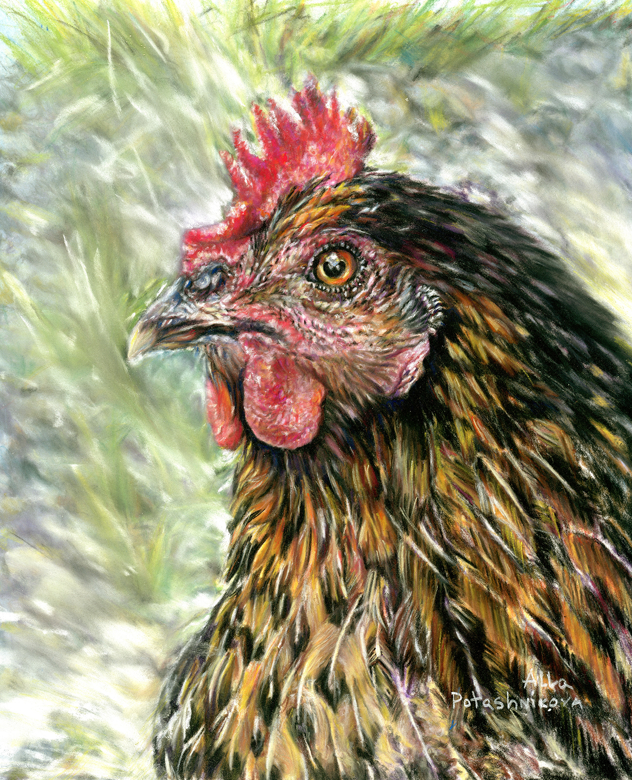 Animal Portraits | Alla Potashnikova